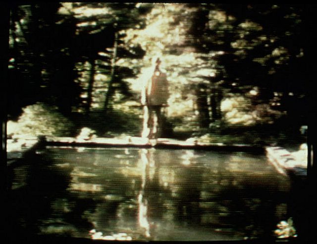 The Reflecting Pool: Collected Works - SCA