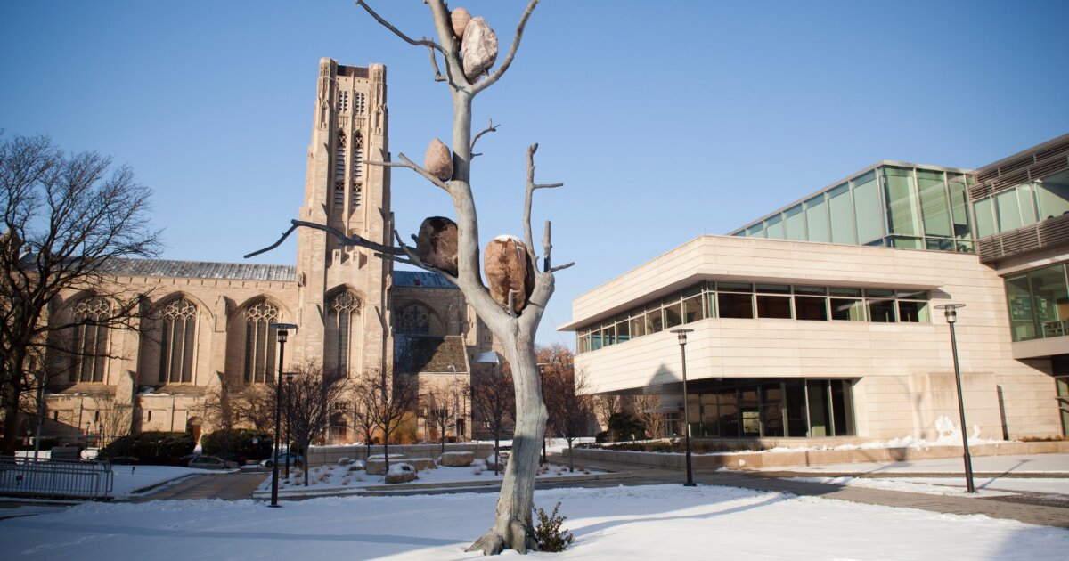 Booth School's Collection Tour - SCA